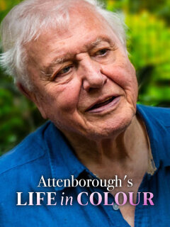 Attenborough's Life in Colour | Xfinity Stream