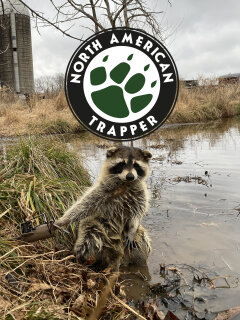 North American Trapper | Xfinity Stream