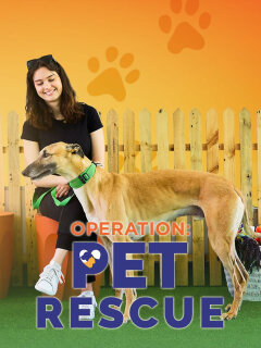 Operation: Pet Rescue | Xfinity Stream