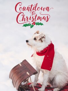 2018 Countdown to Christmas Preview Special | Xfinity Stream