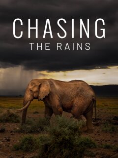 Chasing the Rains | Xfinity Stream