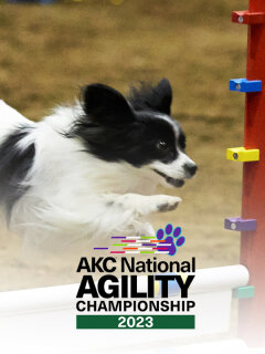 AKC National Agility Dog Championship Highlights | Xfinity Stream