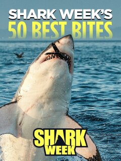 Shark Week's 50 Best Bites | Xfinity Stream